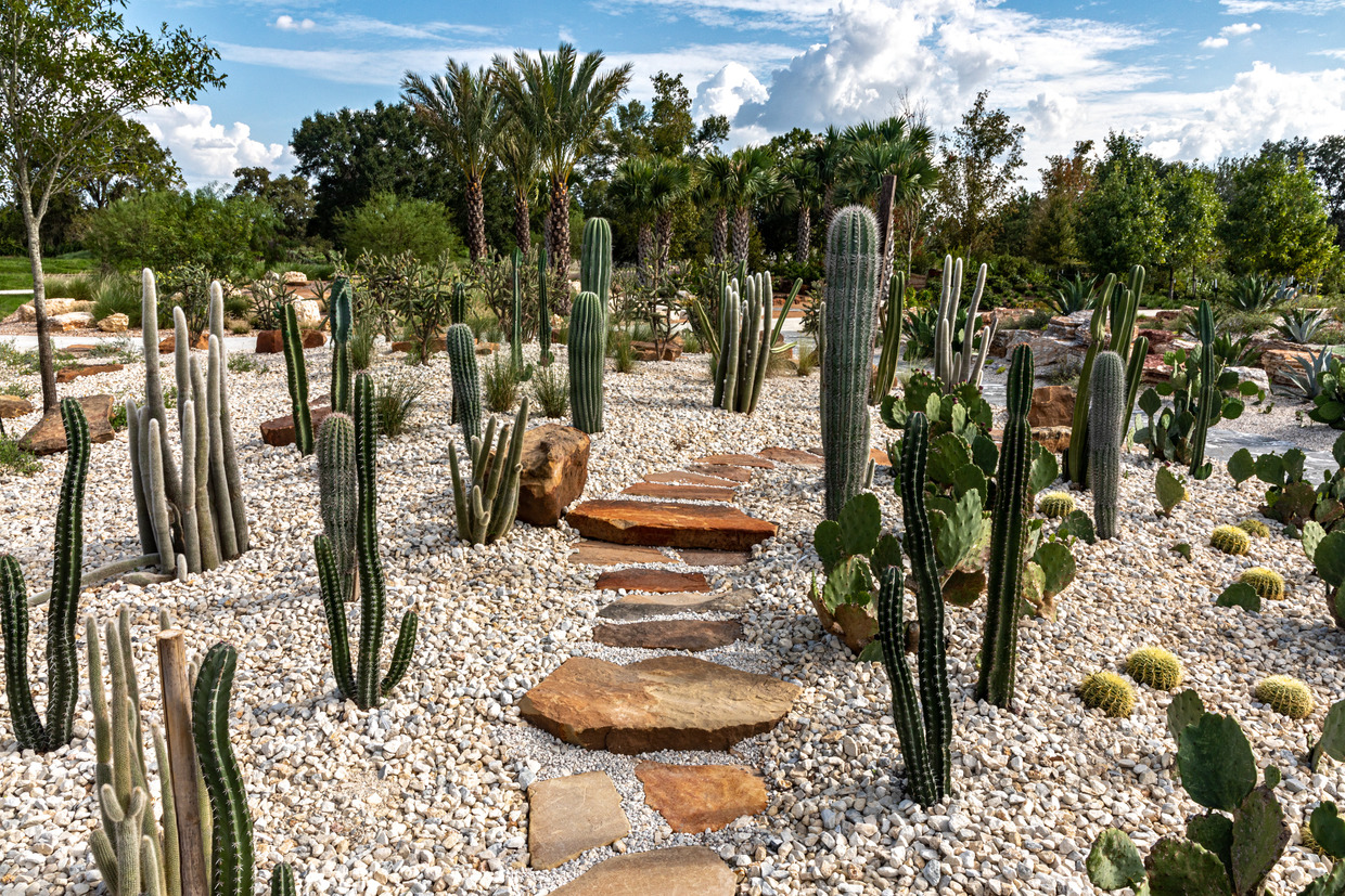 Houston Botanic Garden - West 8