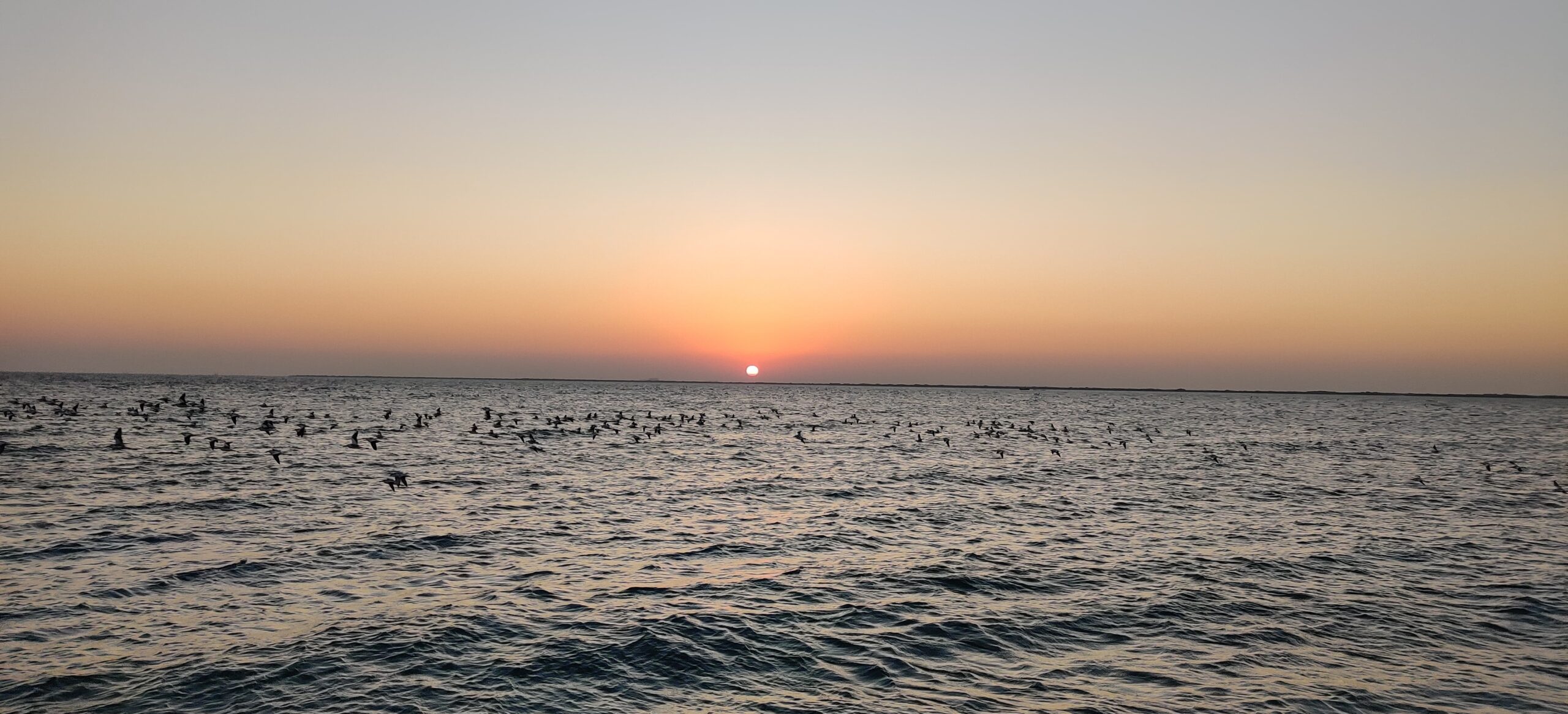 A Masterplan for Pirotan Island - West 8