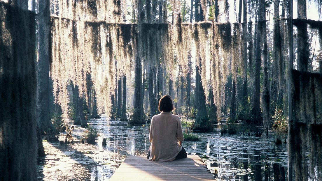 Swamp Garden - West 8